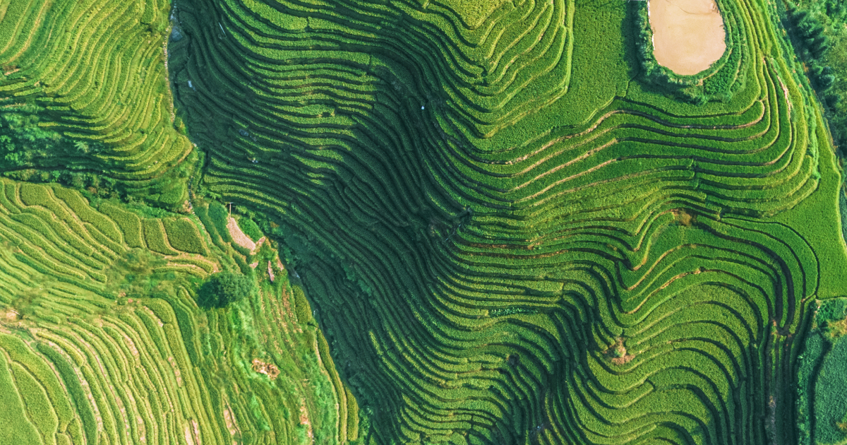 undefined - Epiphany RBC